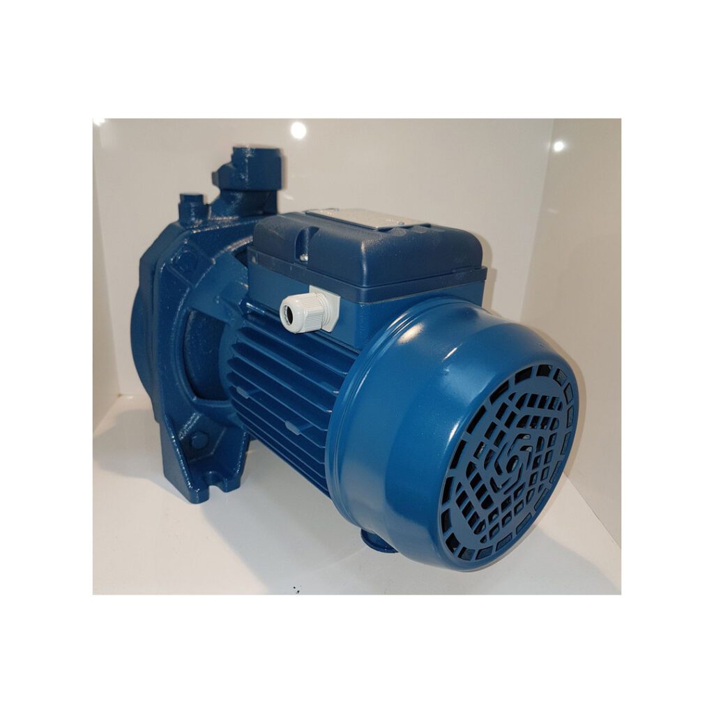 پمپ آب بشقابی یک اسب پنتاکس مدل CM100/01 | پایا گسترش